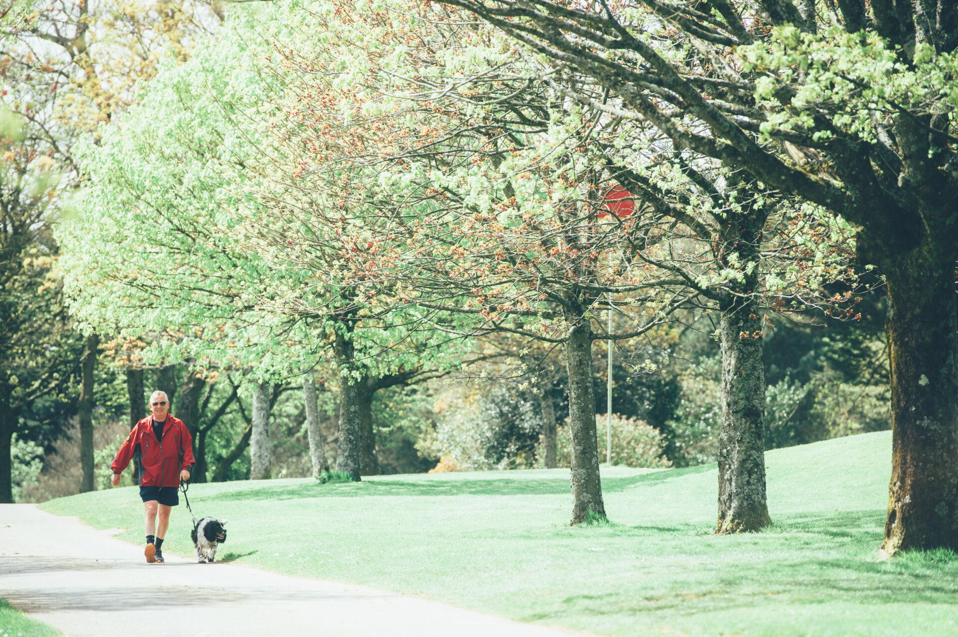 About Us - Jeffrey Ross Estates